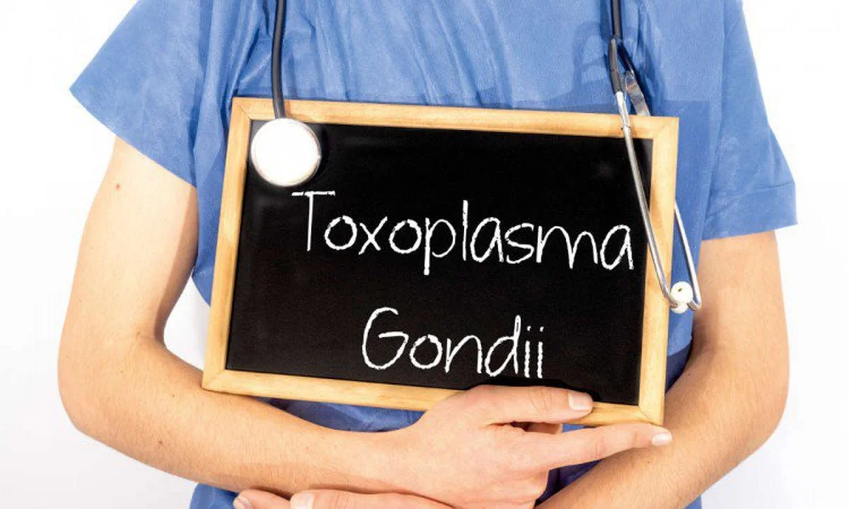 Toksoplazmoza (toxoplasma gondii) – skutki, objawy i leczenie - Wapteka.pl