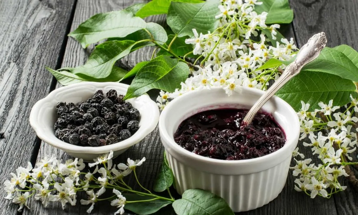 Czeremcha – właściwości i zastosowanie. Na co pomagają owoce czeremchy? - Wapteka.pl